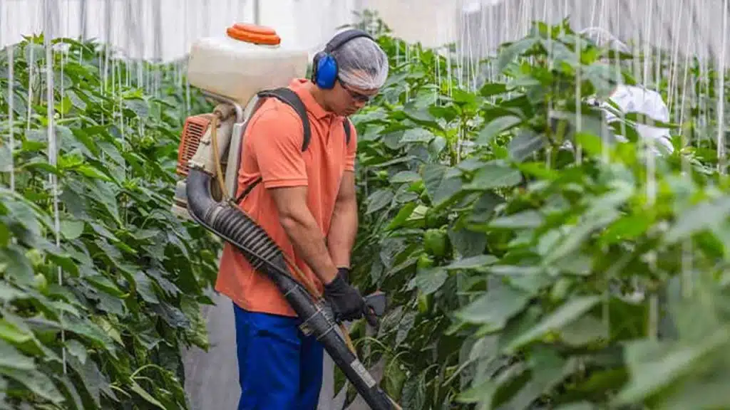 Best Pest Control Louisville KY For Home