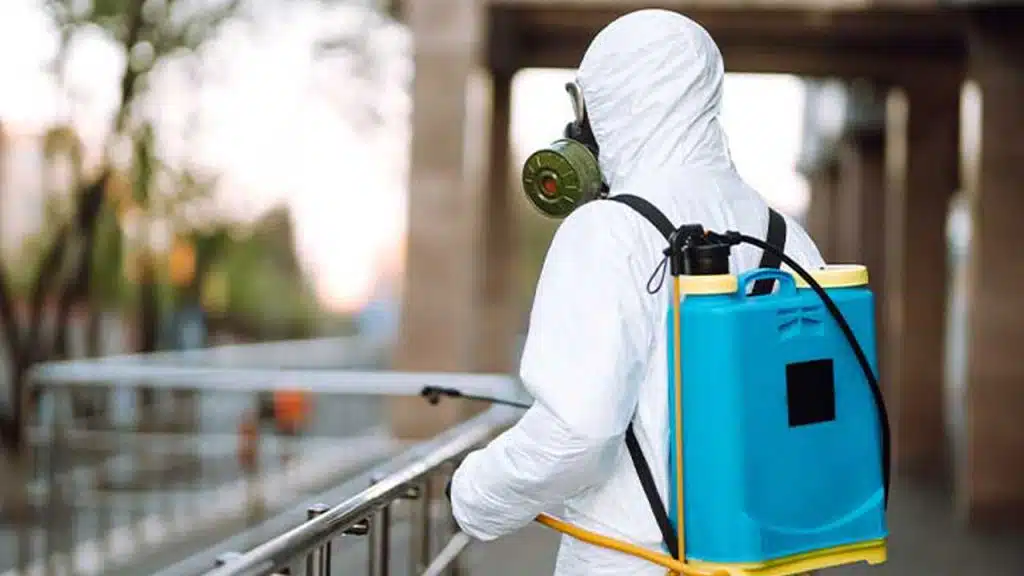 Best Pest Control Louisville KY For Home