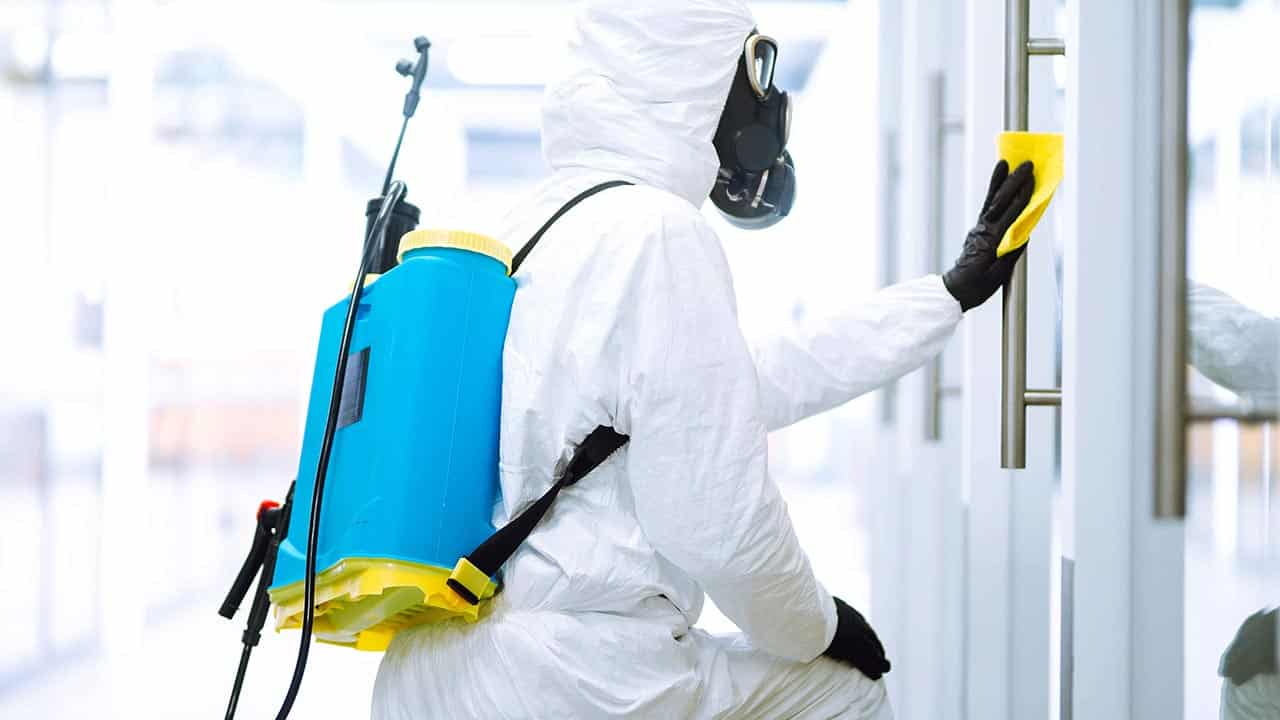 Best Pest Control All Services For Your home